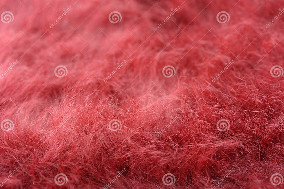 Red fur texture stock photo. Image of furry, feline - 341768596