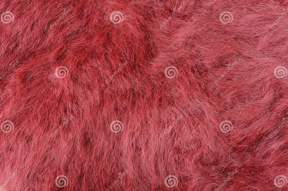 Red fur texture stock image. Image of background, hair - 341768633