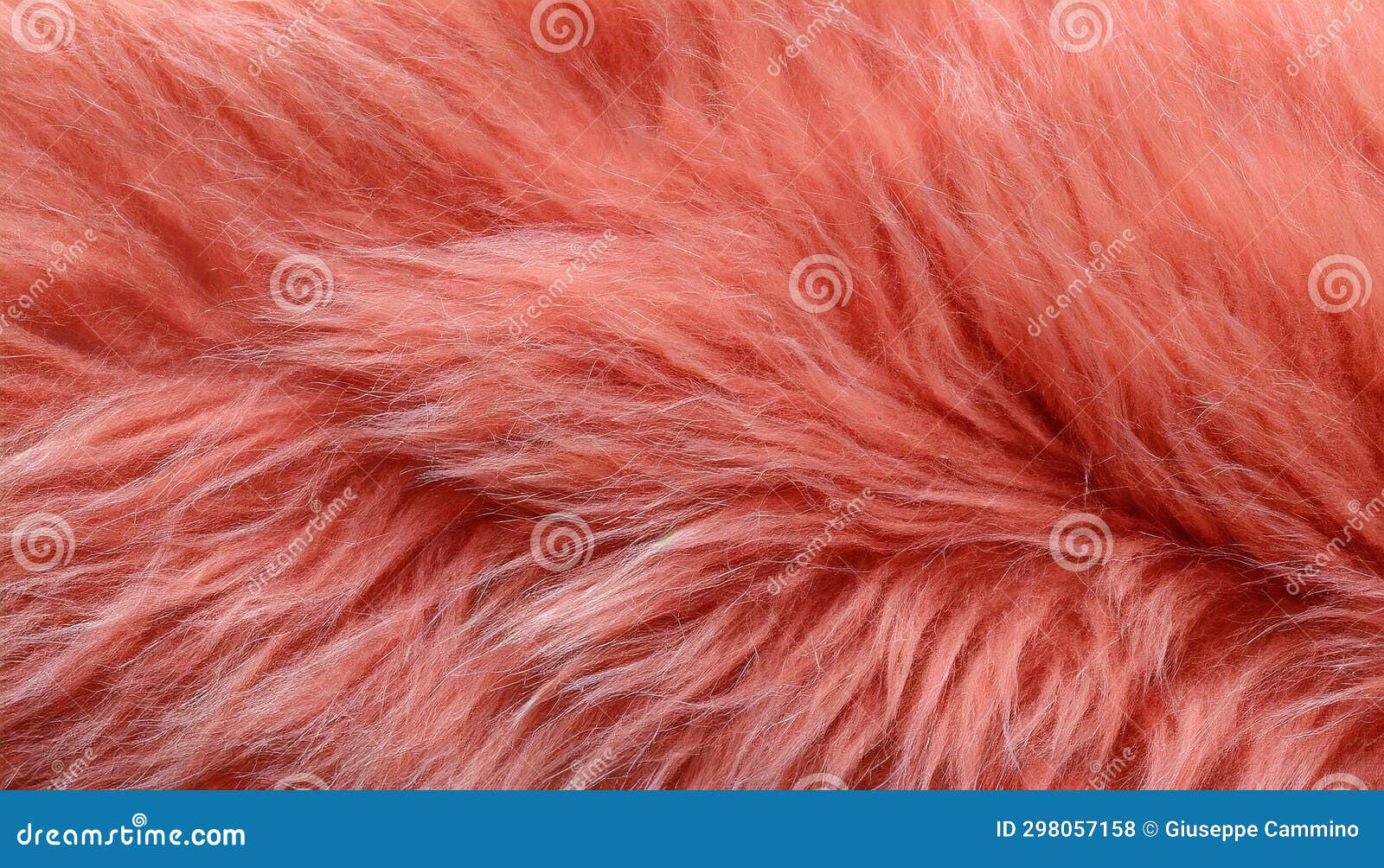 Red fur texture top view stock illustration. Illustration of natural ...