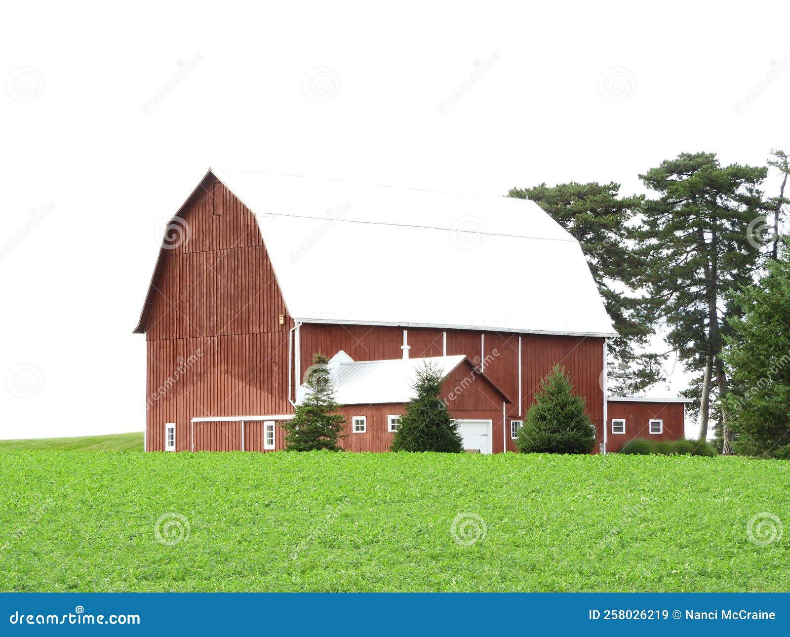 Historic Red Gambrel Roof Barn in FingerLakes Country Stock Image ...