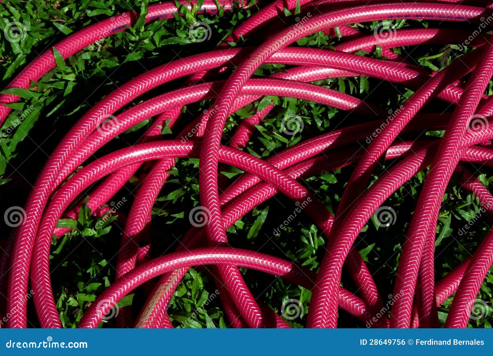 Red Garden Hose stock photo. Image of fiber, plastic - 28649756