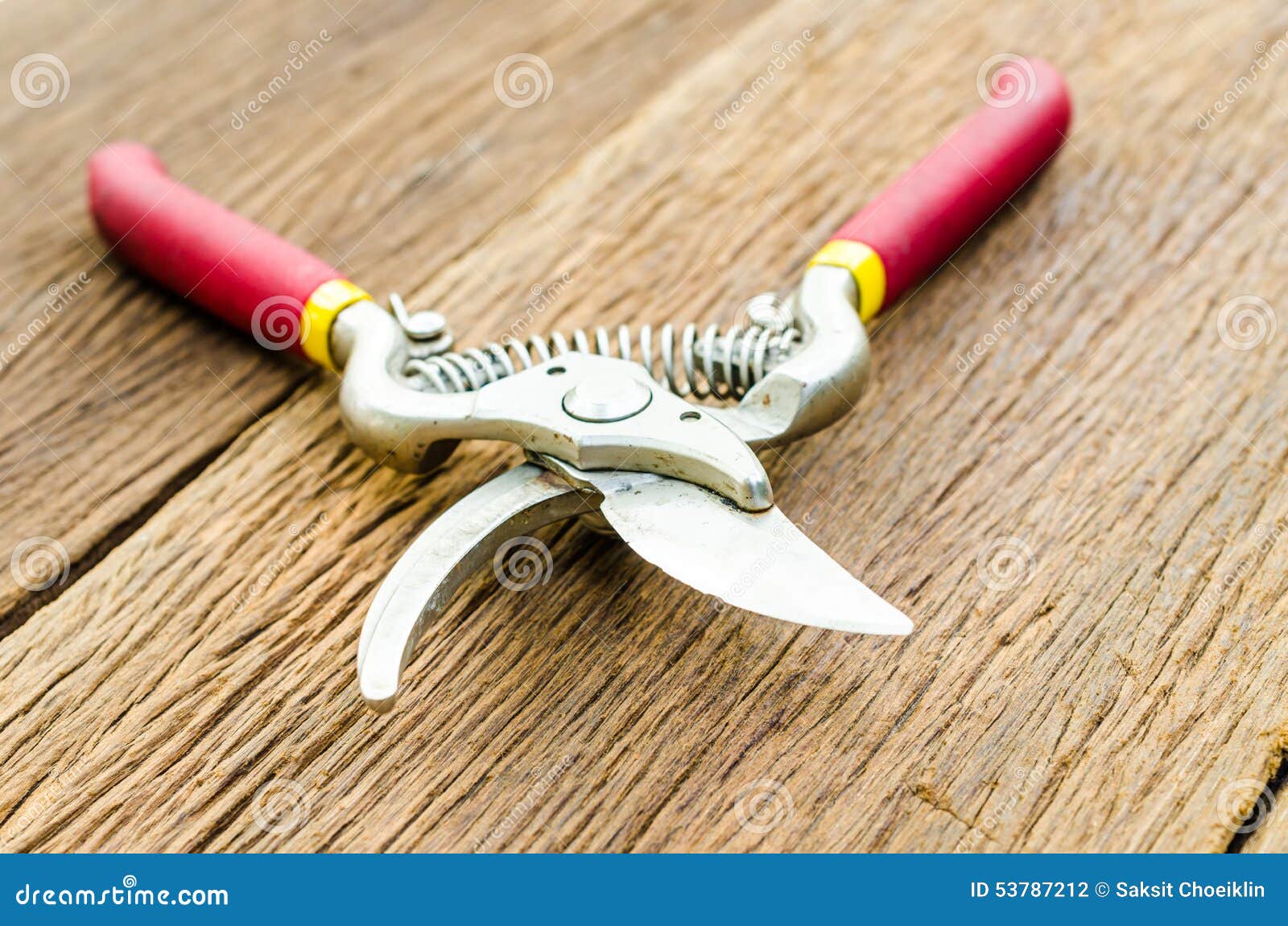 Red garden secateurs stock photo. Image of tree, branch - 53787212