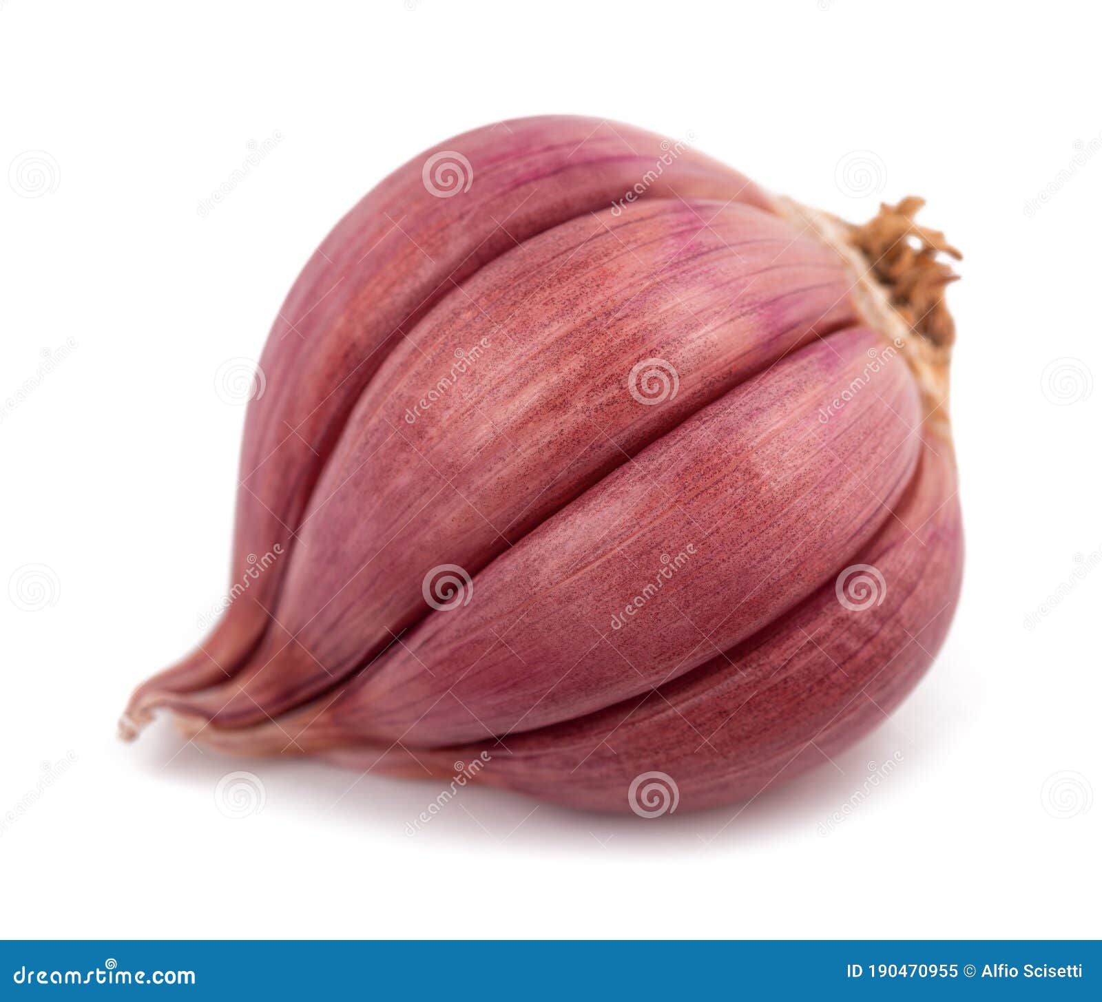 Red garlic stock image. Image of spices, aroma, allium - 190470955