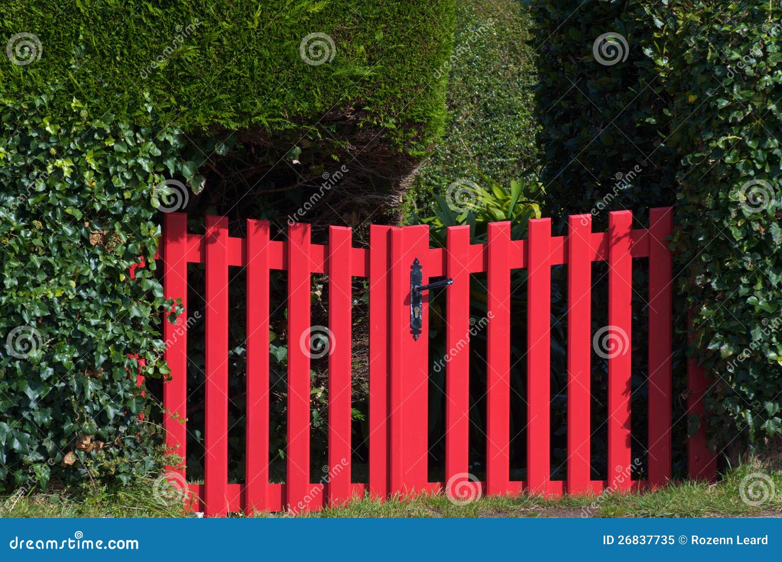 Red gate stock image. Image of fence, bush, contrast - 26837735