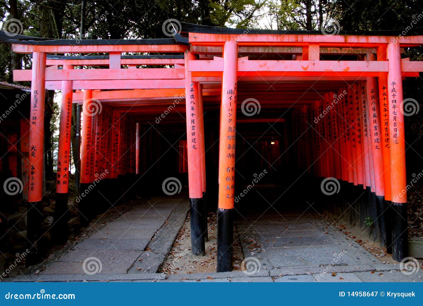 Red gate (torii) in Kyoto stock image. Image of fushimi - 14958647
