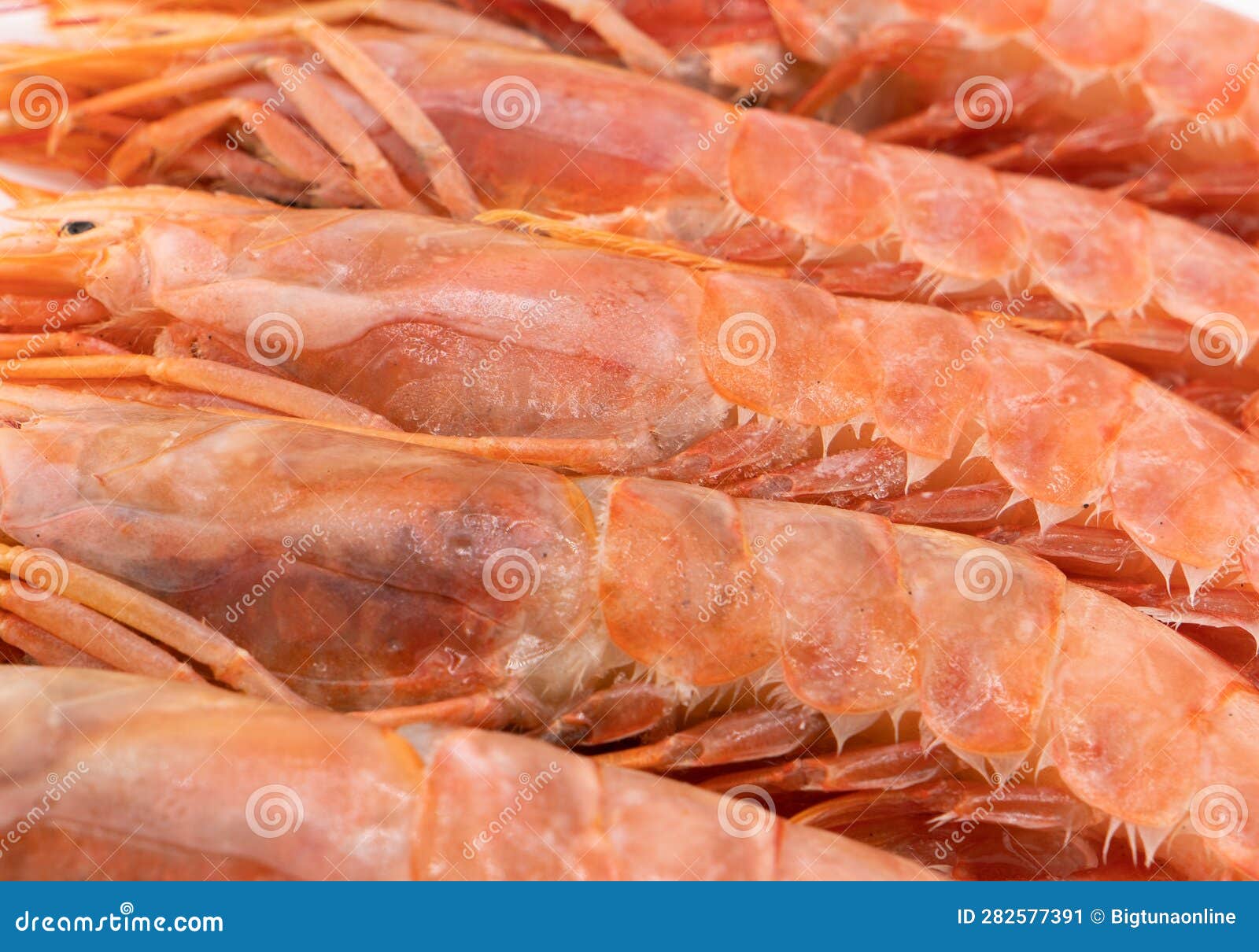 Red Giant Argentine Shrimp Texture Background. Large Tiger Shrimp ...