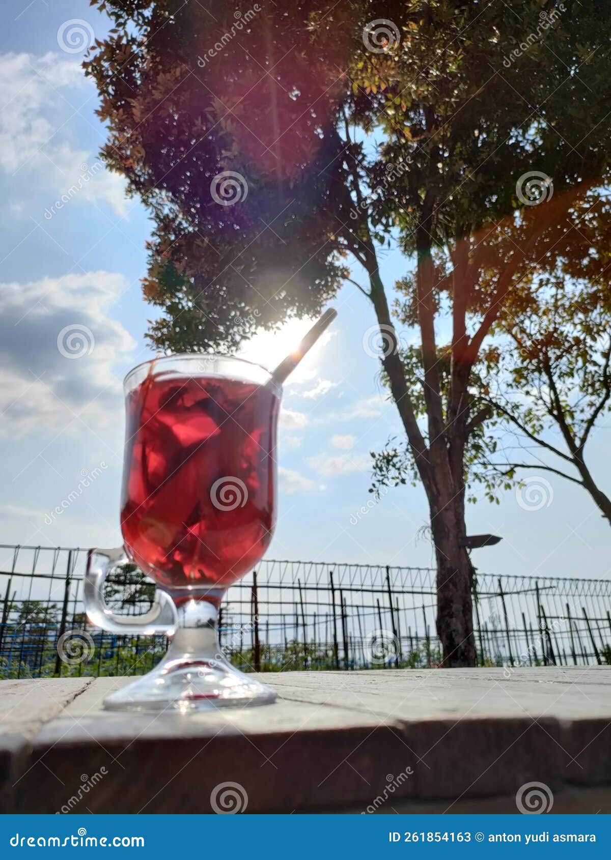 Gingger Stock Photos - Free & Royalty-Free Stock Photos from Dreamstime