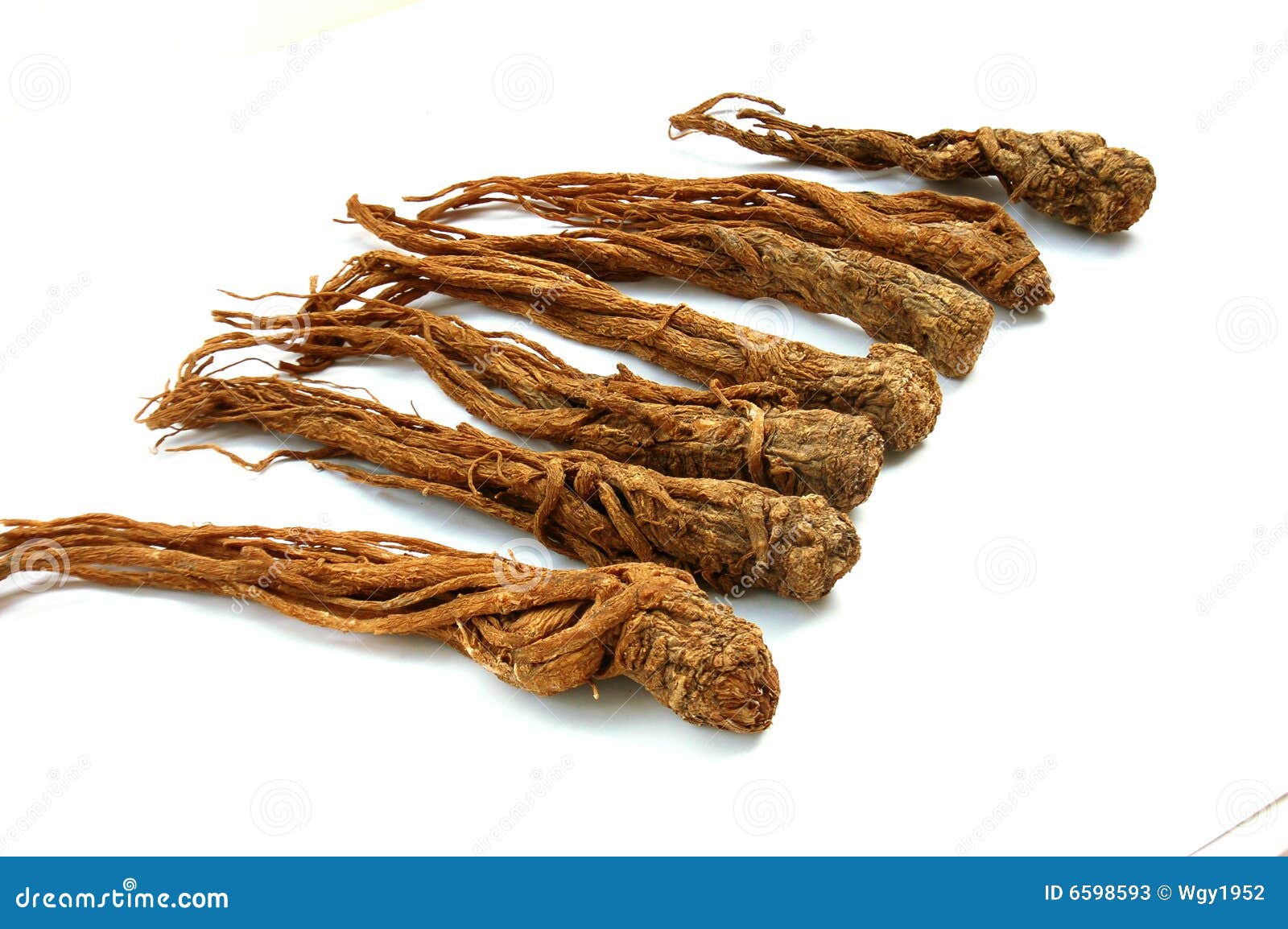 Red Ginseng stock image. Image of natural, remedy, asia - 6598593