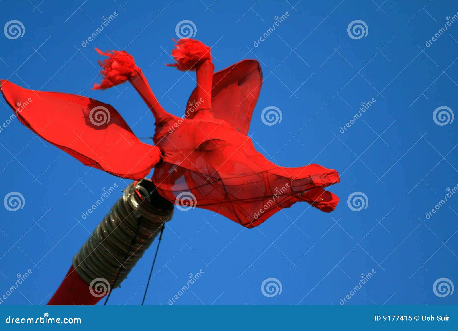 Red giraffe stock image. Image of fresh, cute, colorful - 9177415