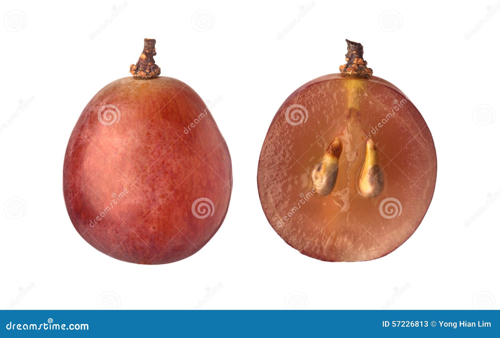 Red globe grape stock image. Image of isolated, sweet - 57226813