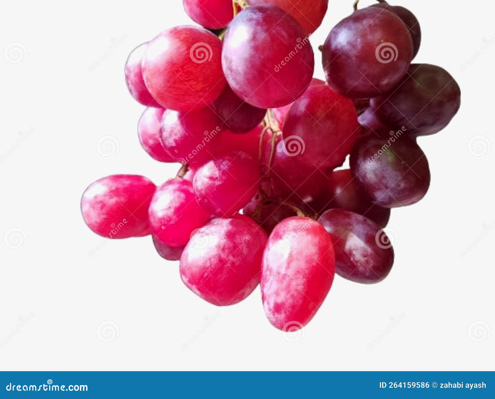 Red Globe (grape Variety) Placed on a White Background. View from ...