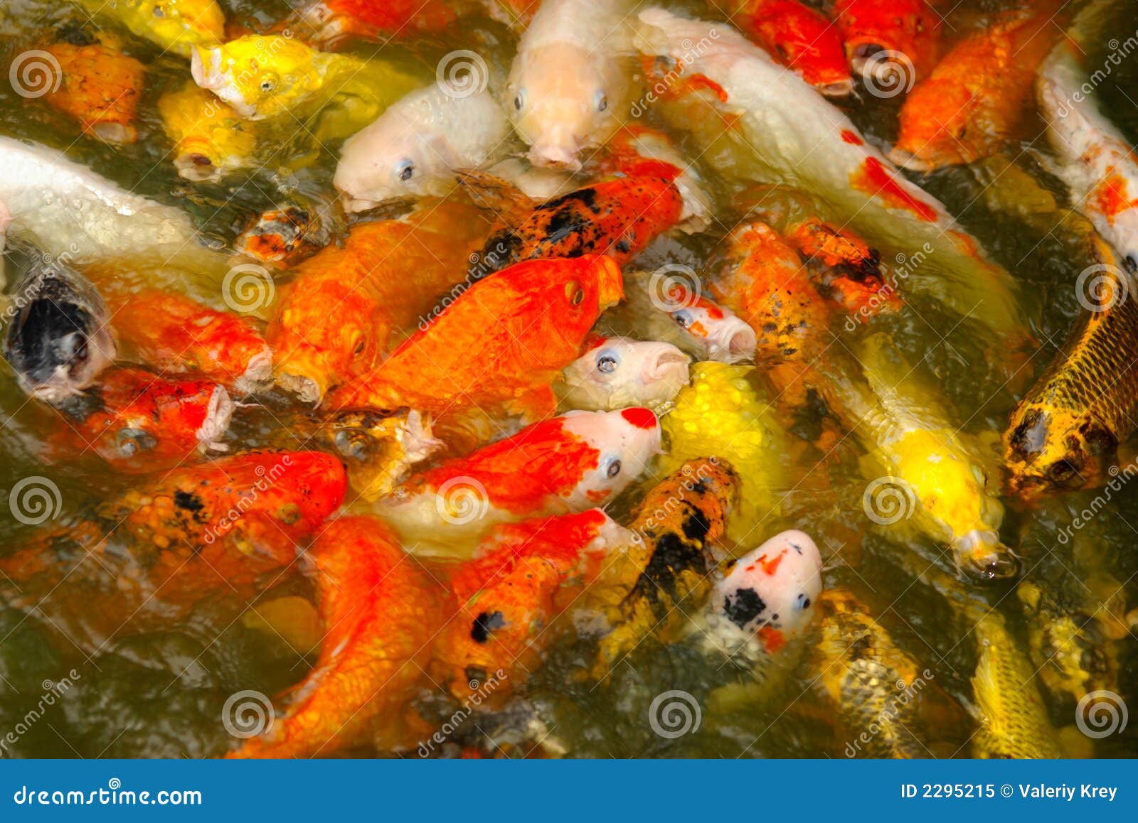 Royalty Free Images, Cartoons, Illustrations And Photos Designed By ...