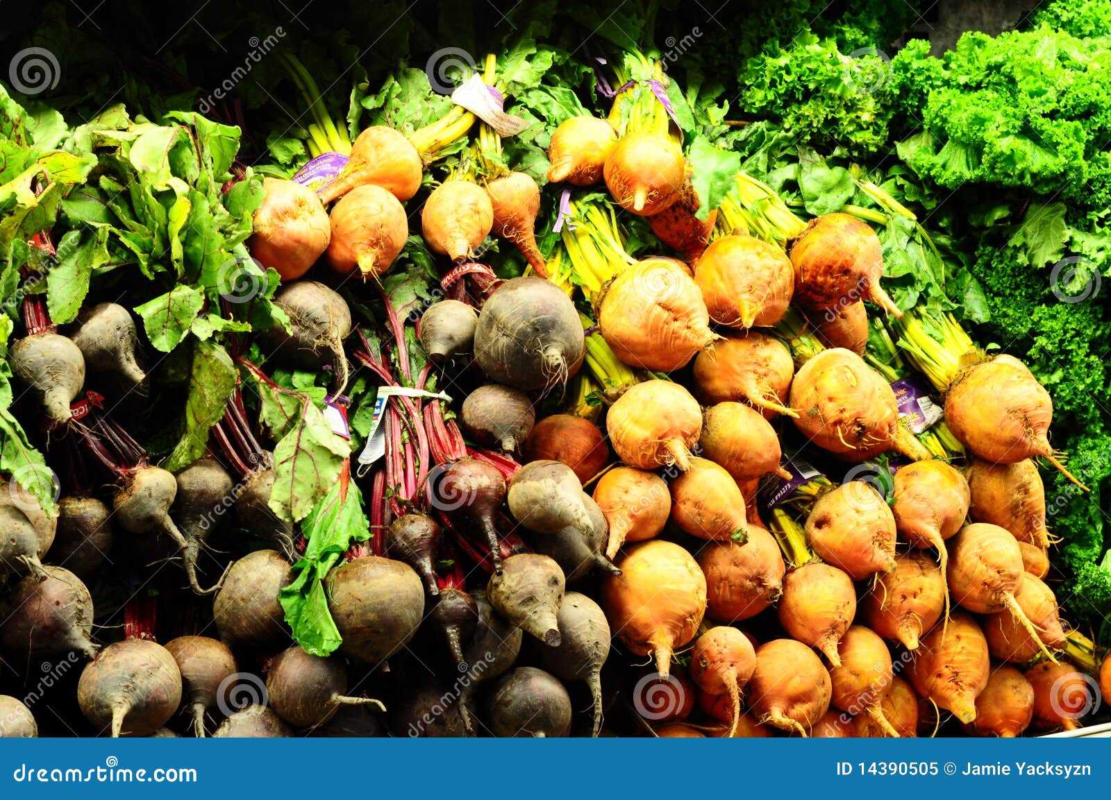 Red and Golden Beets stock image. Image of yellow, fresh - 14390505