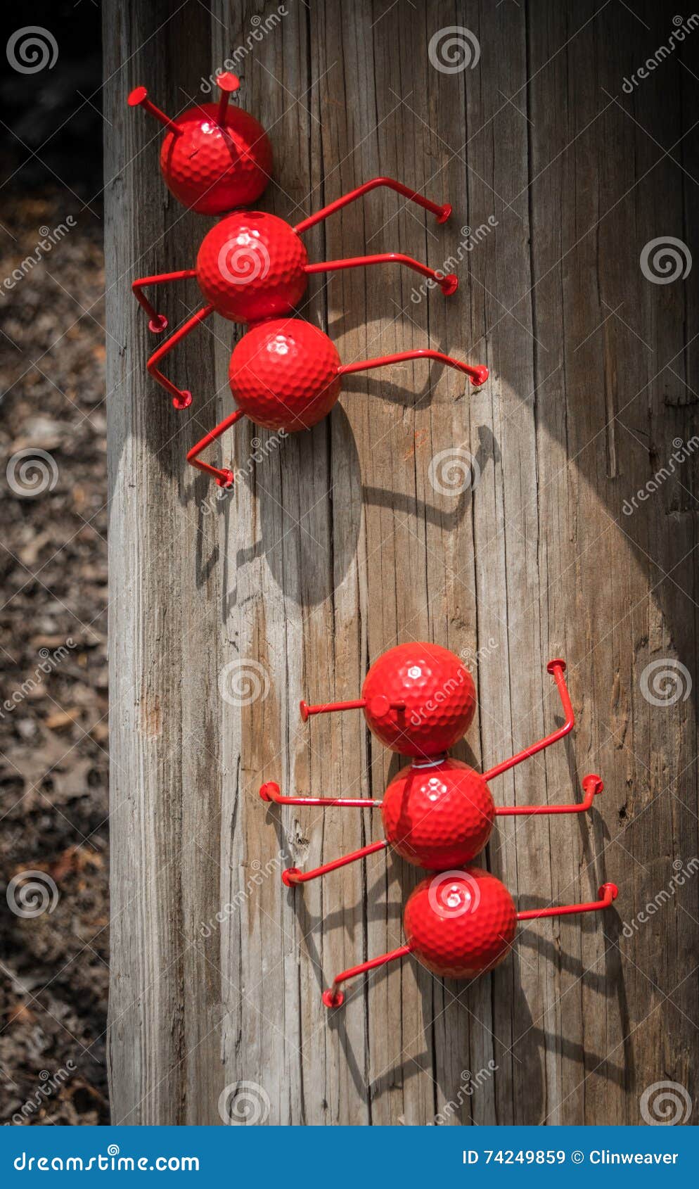 Red Golf Ball Ants stock image. Image of ants, abstract - 74249859