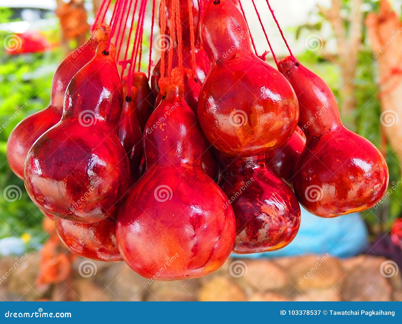 Gourd stock image. Image of gourds, food, vegetable - 103378537