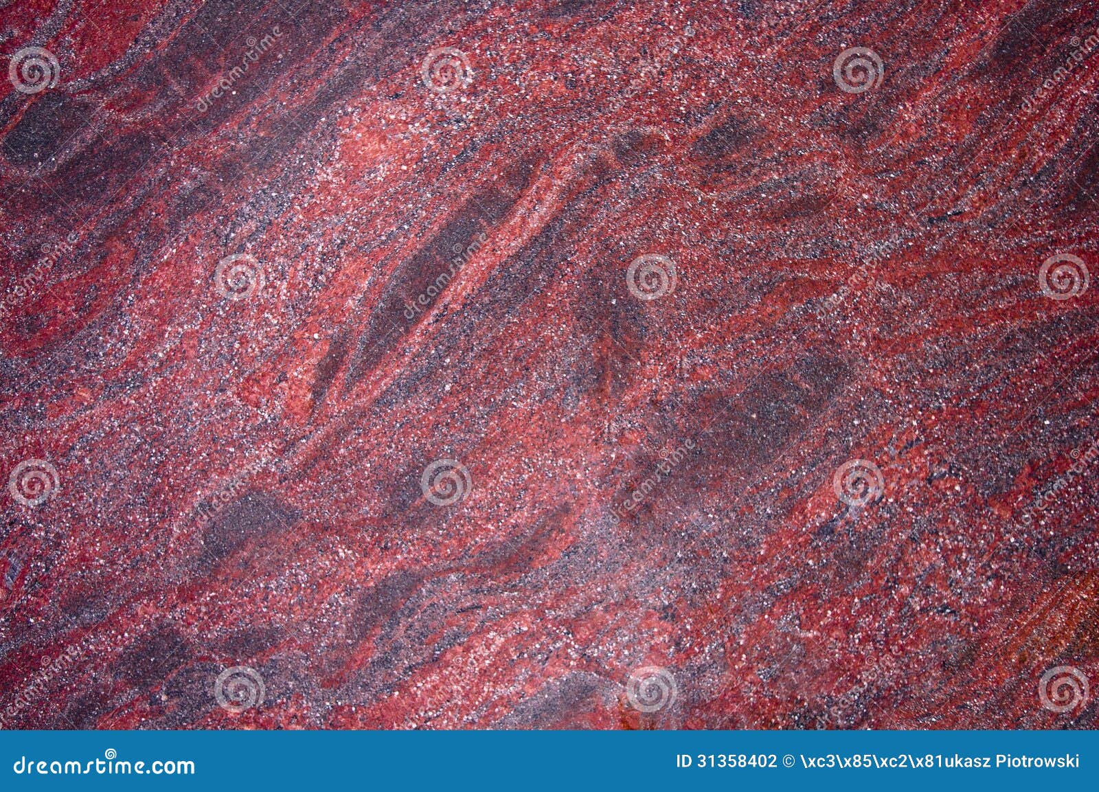 Elm Slab Texture. Live Edge Elm Countertop. Wood Texture Royalty-Free ...