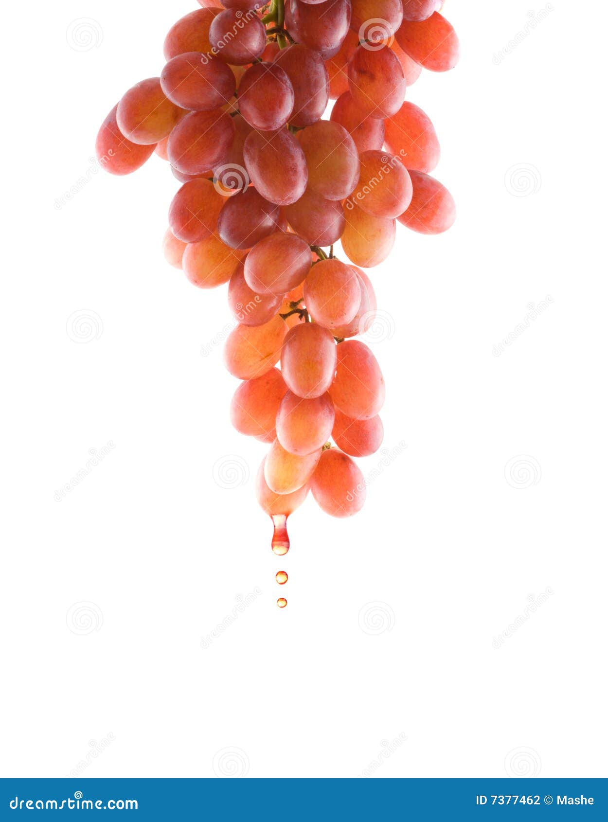 Red grap stock photo. Image of ingredient, dessert, salad - 7377462