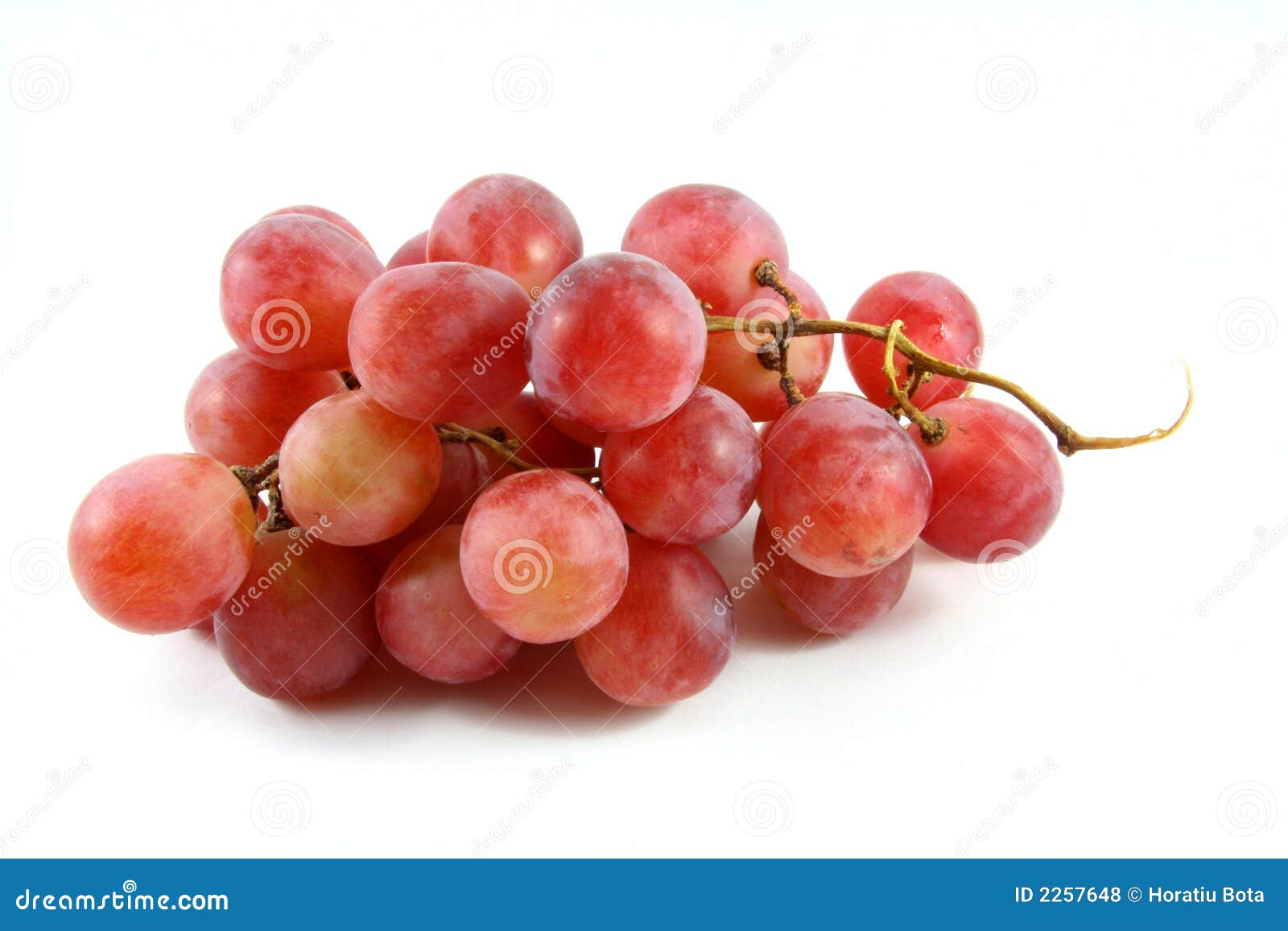 Red grape stock photo. Image of juicy, delicious, peel - 2257648