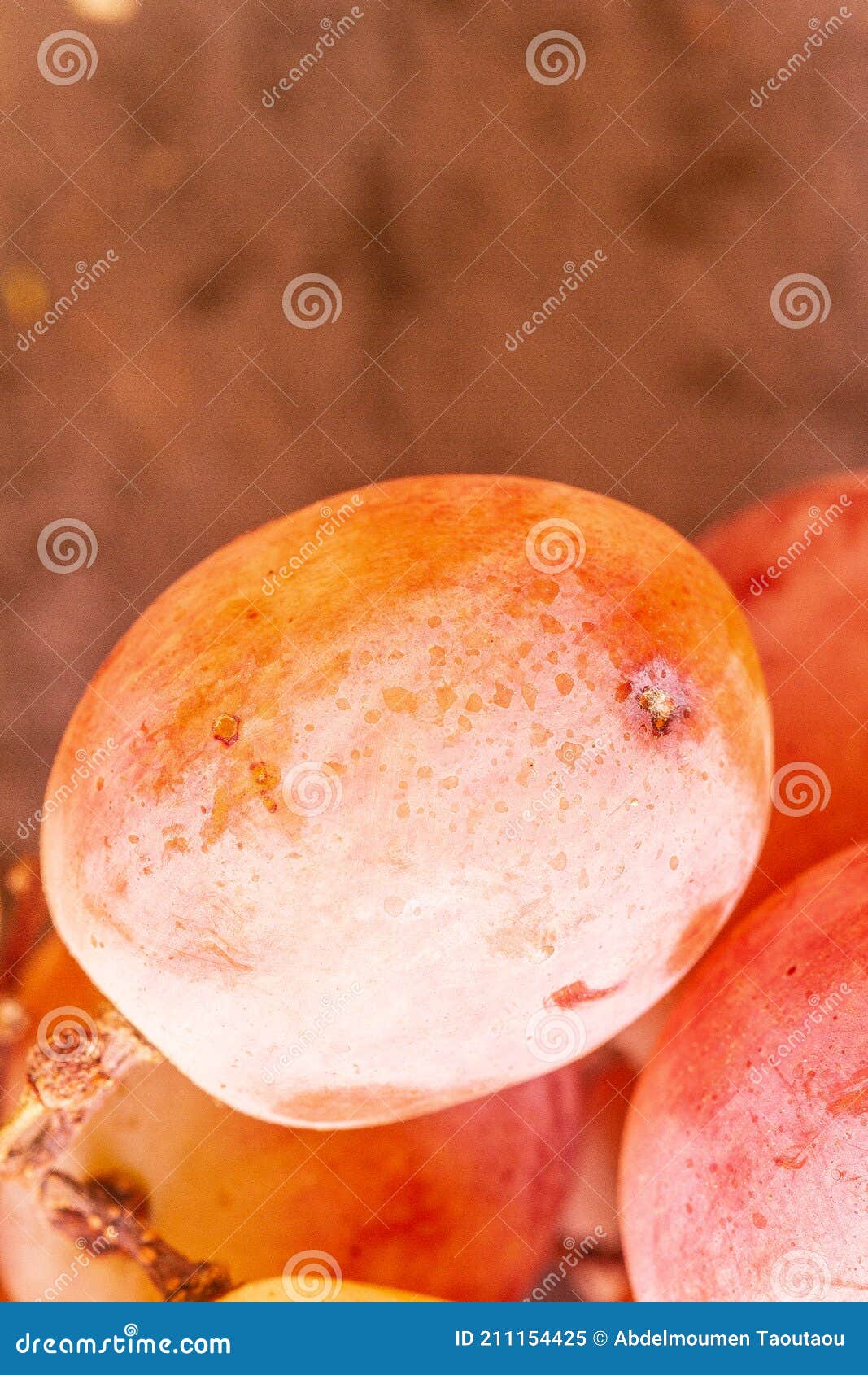 Rotten grape stock image. Image of nature, natural, attacked - 211154425