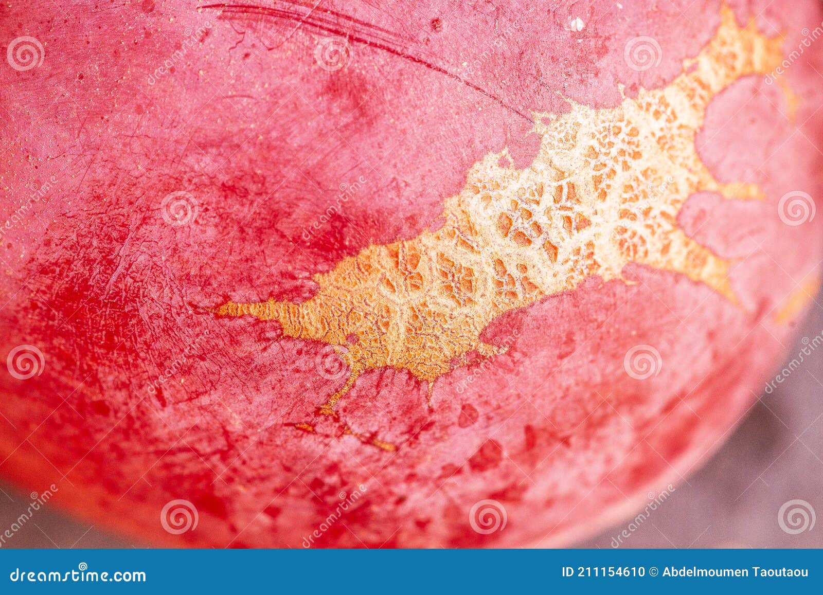 Rotten grape stock photo. Image of nature, decayed, conservation ...