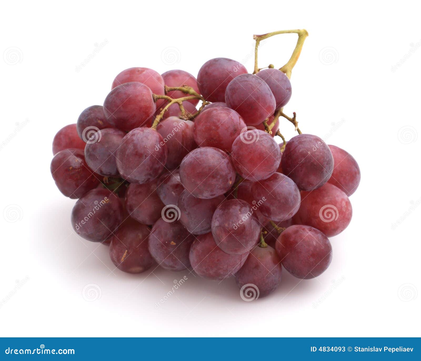 Red grape bunch stock image. Image of vine, purple, food - 4834093