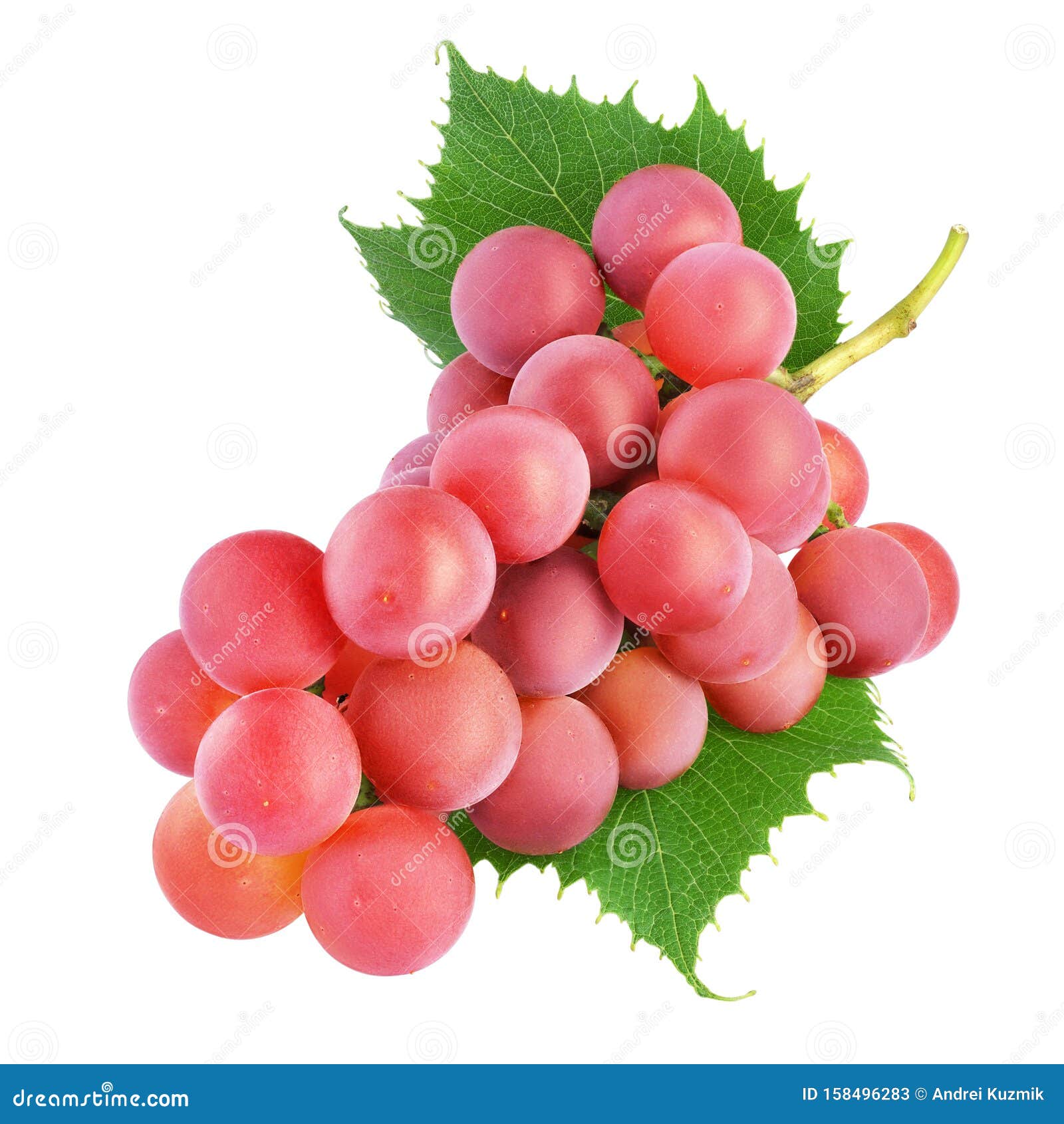 Red Grape Bunch with Leaves Isolated Stock Image - Image of bunch ...