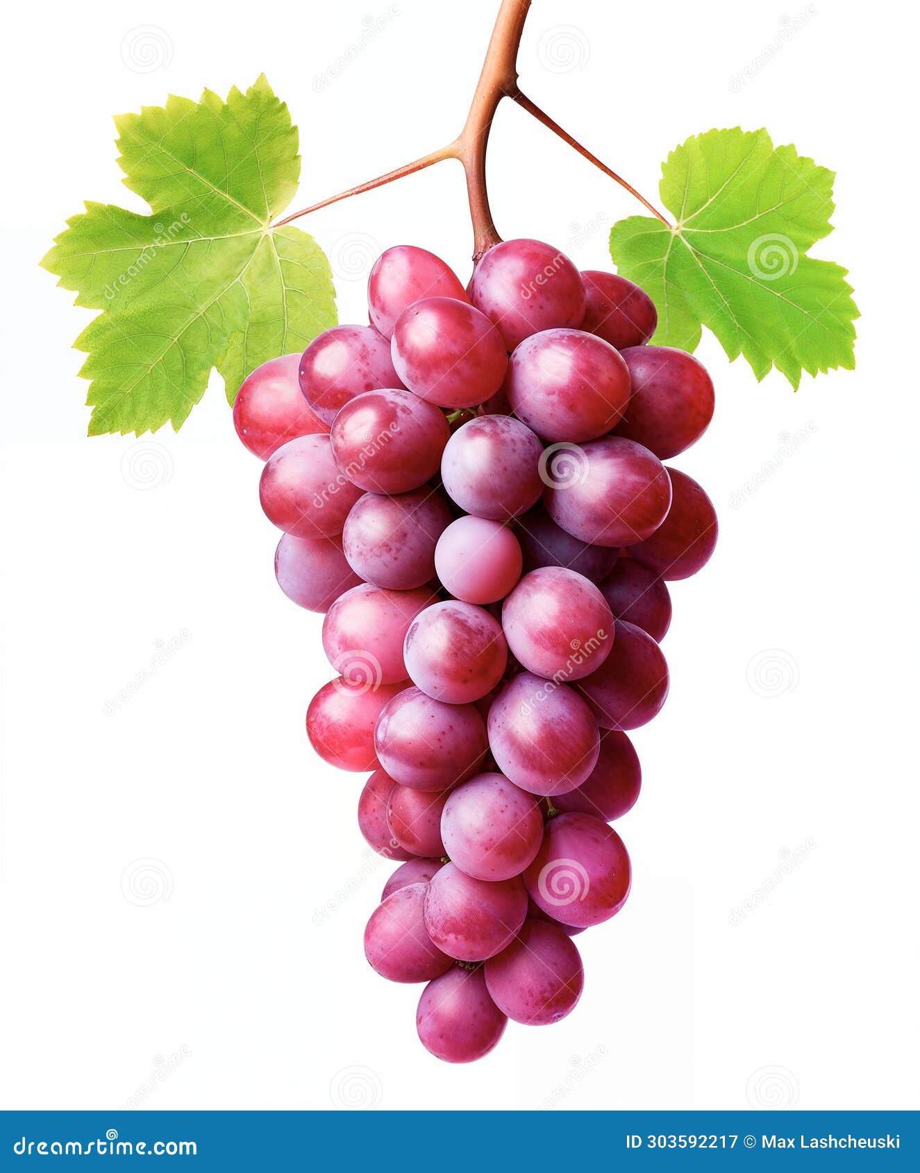 Red Grape Bunch with Leaves Isolated on White Background Stock Image ...
