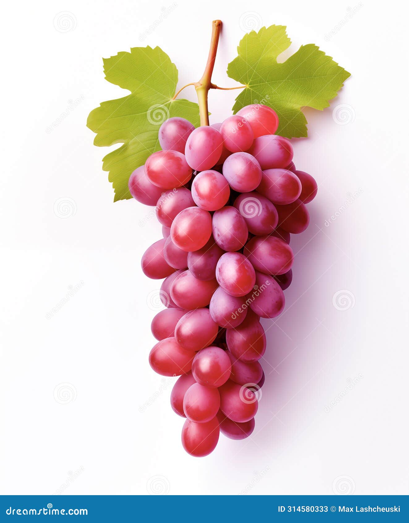 Red Grape Bunch with Leaves Isolated on White Background, Top View ...