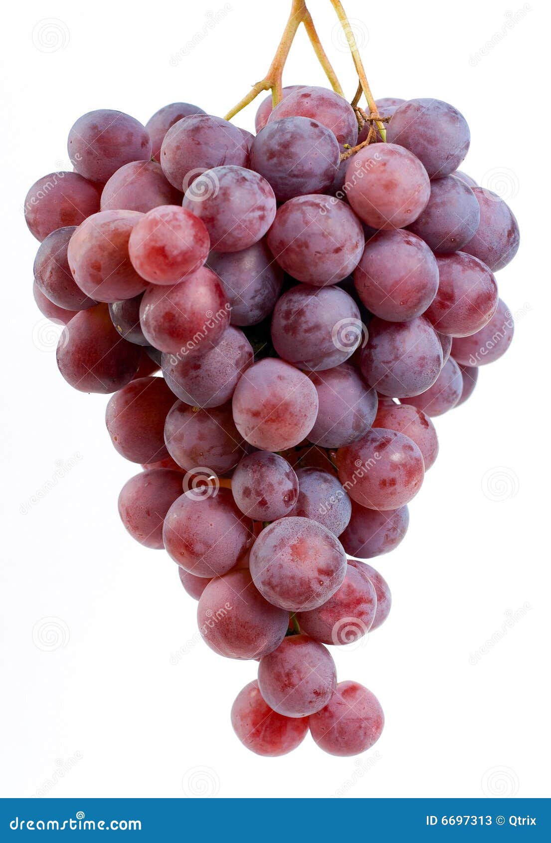 Red grape cluster. stock image. Image of eating, healthy - 6697313