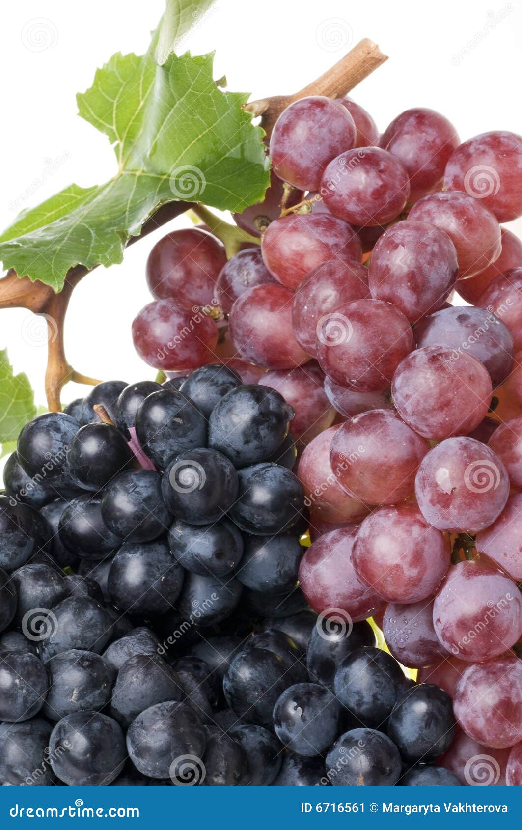 Red grape food close-up stock image. Image of macro, organic - 6716561