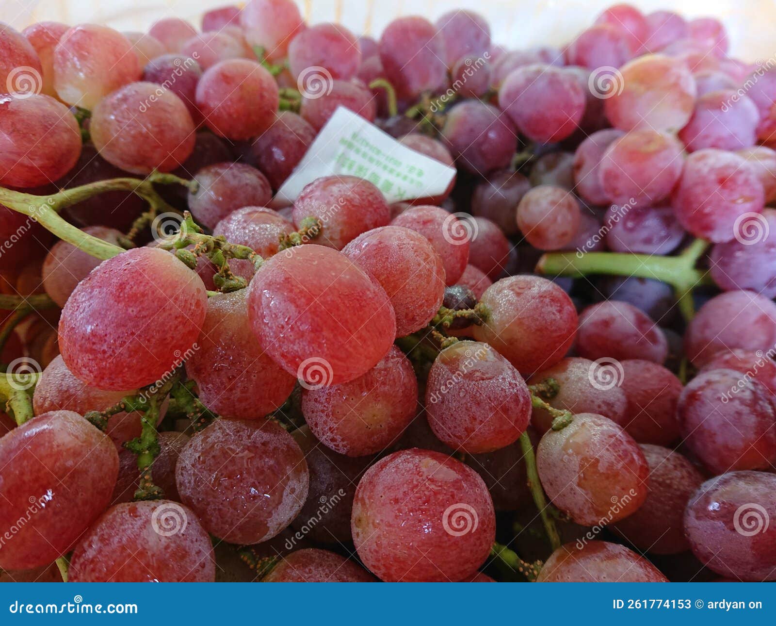Red grape stock image. Image of evergreen, food, vegetable - 261774153