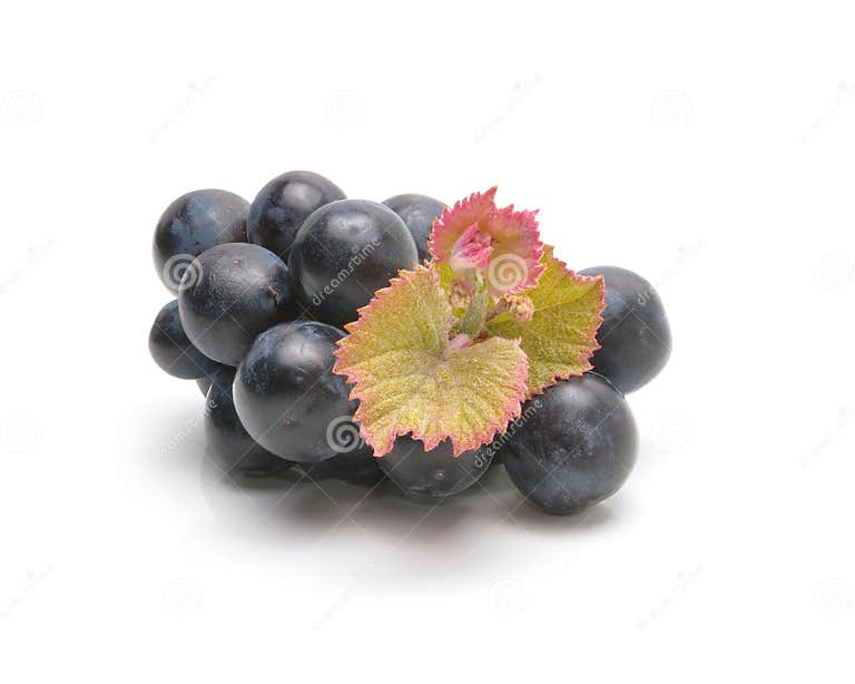 Red Grape with Green Leaf Isolated on White Background . Stock Image ...
