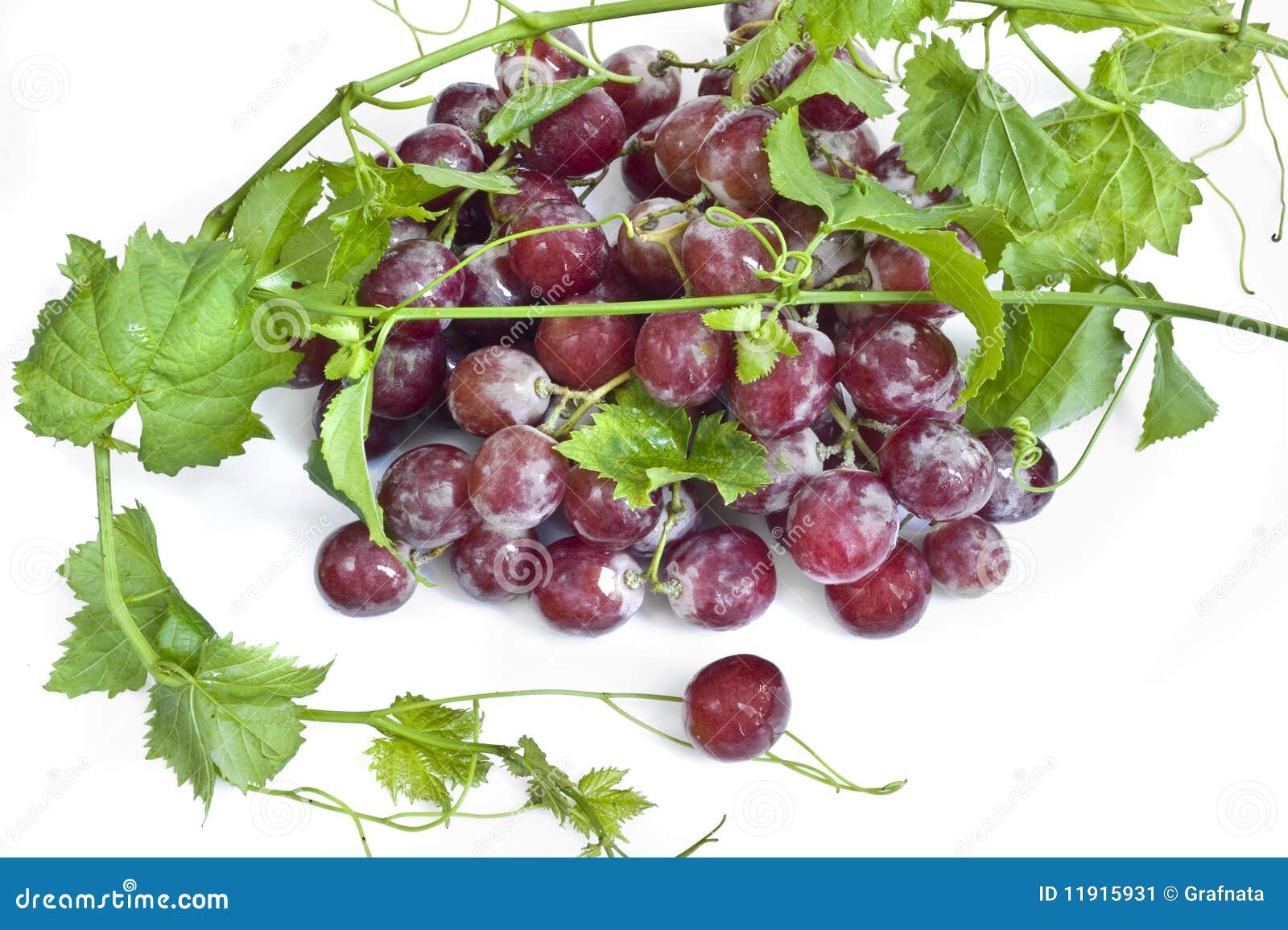Red grape with leaves stock image. Image of grape, fruit - 11915931
