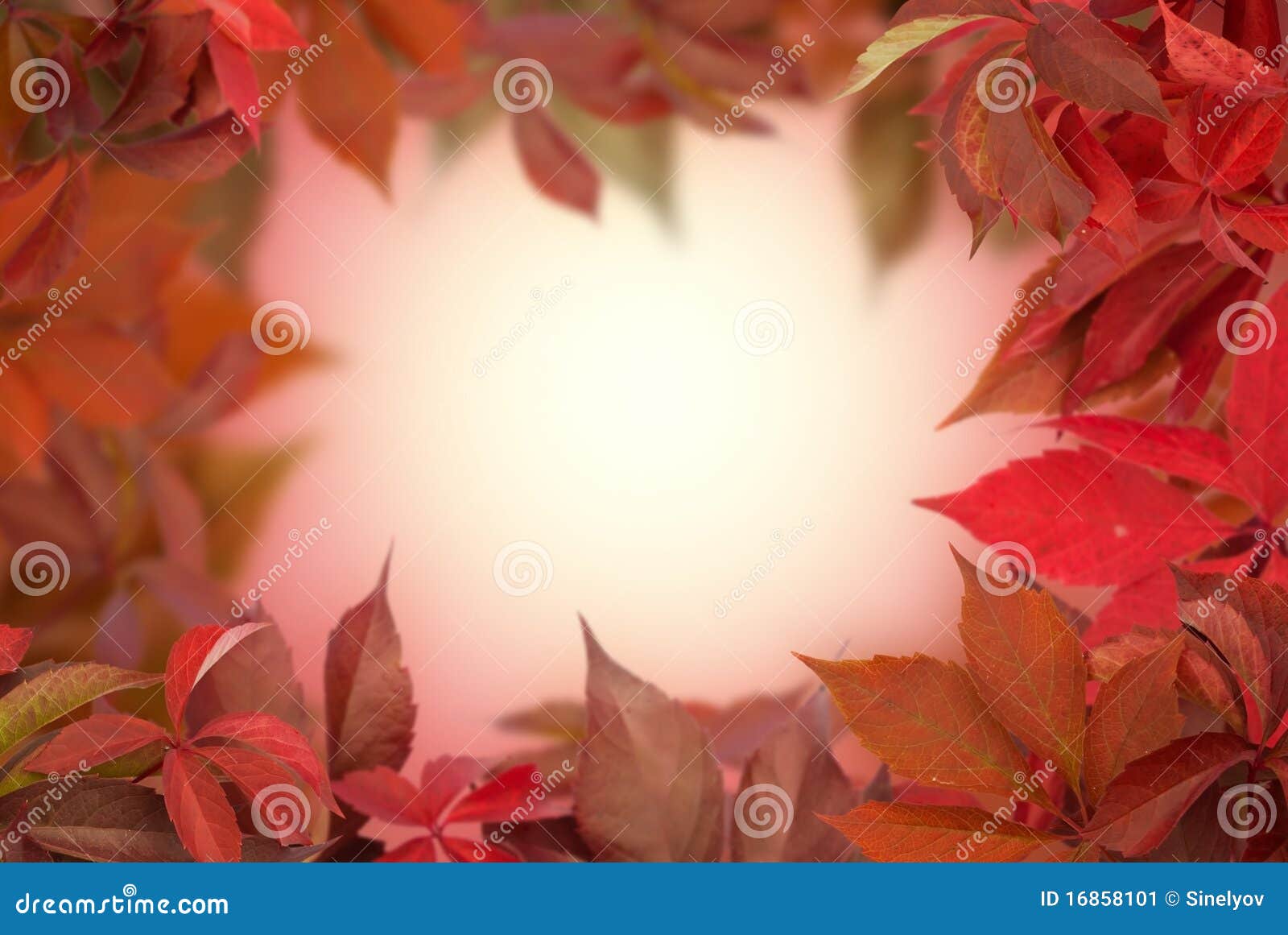 10,997 Creeper Frame Stock Photos - Free & Royalty-Free Stock Photos ...