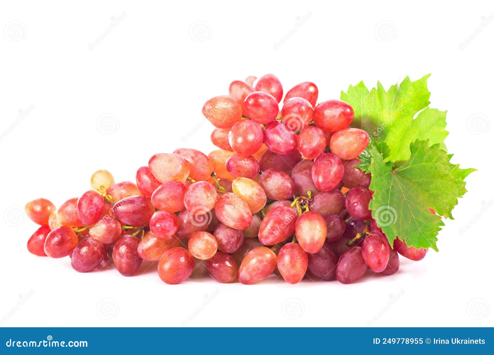 Red Grape with Leaves Isolated on White Stock Image - Image of leaf ...