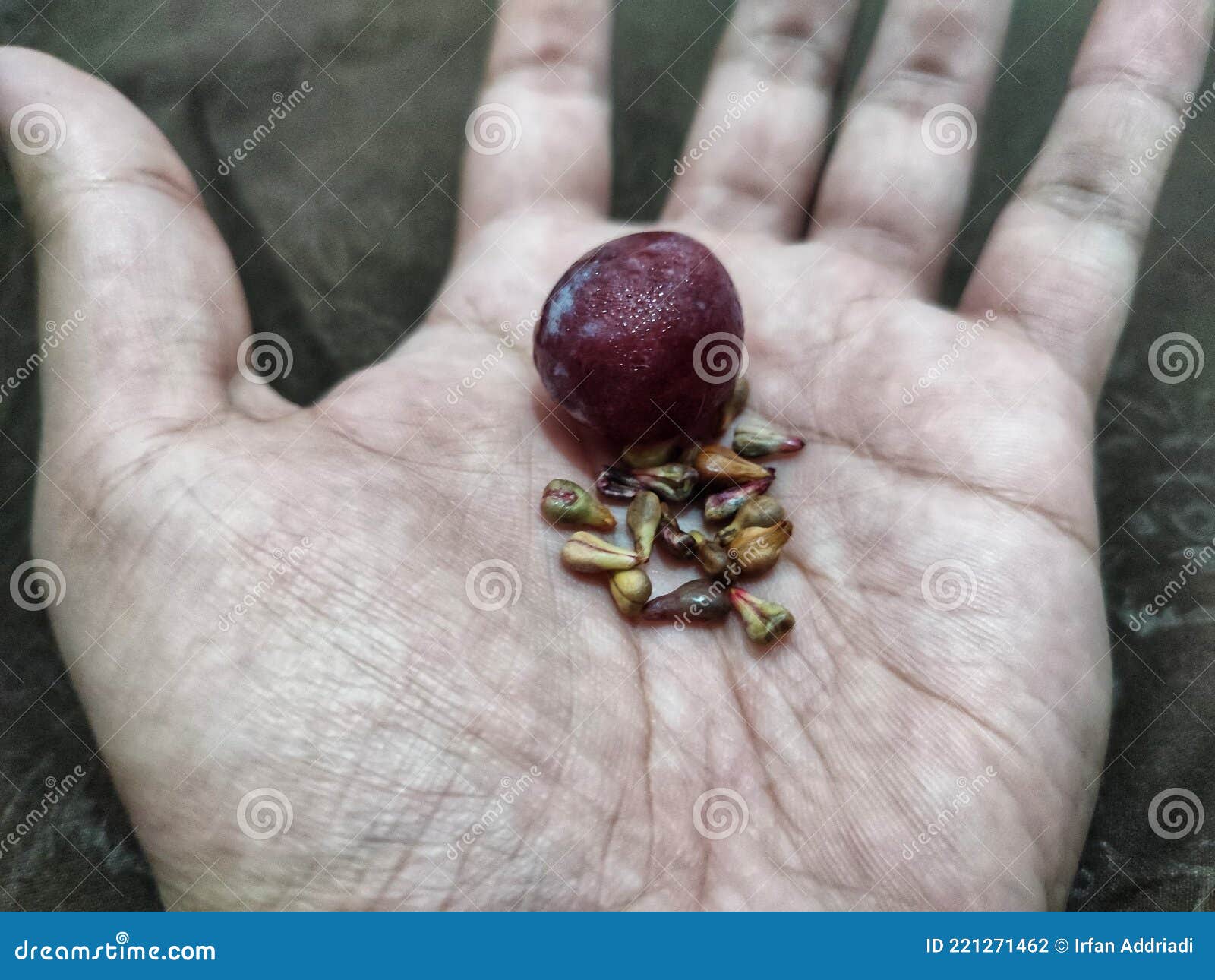 Red grape seeds on palm. stock photo. Image of food - 221271462