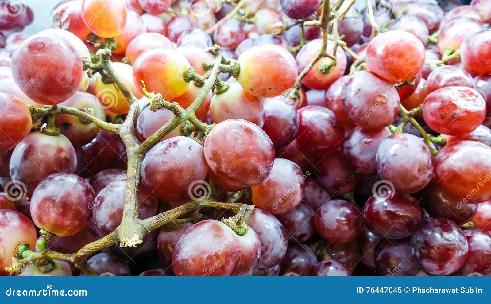 The Red Grape on Shelf for Sell in Supermarket Stock Image - Image of ...