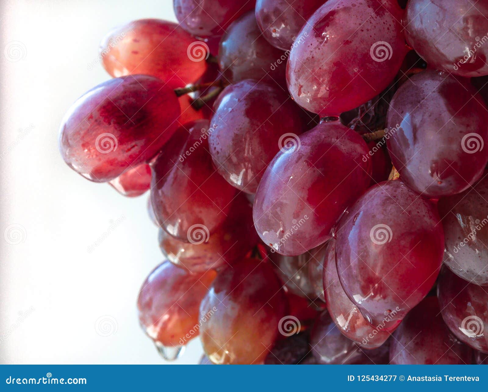 Red Grapes on Light Background Stock Image - Image of background, vino ...