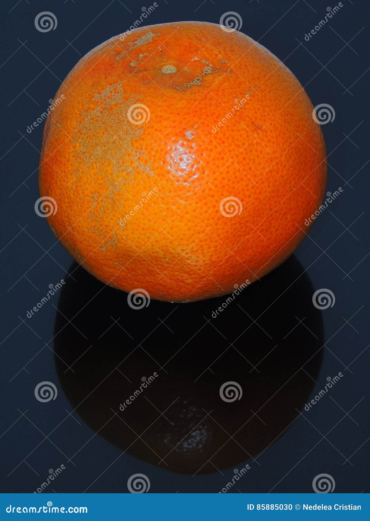 Red Grapefruit stock photo. Image of sweet, nutrition - 85885030