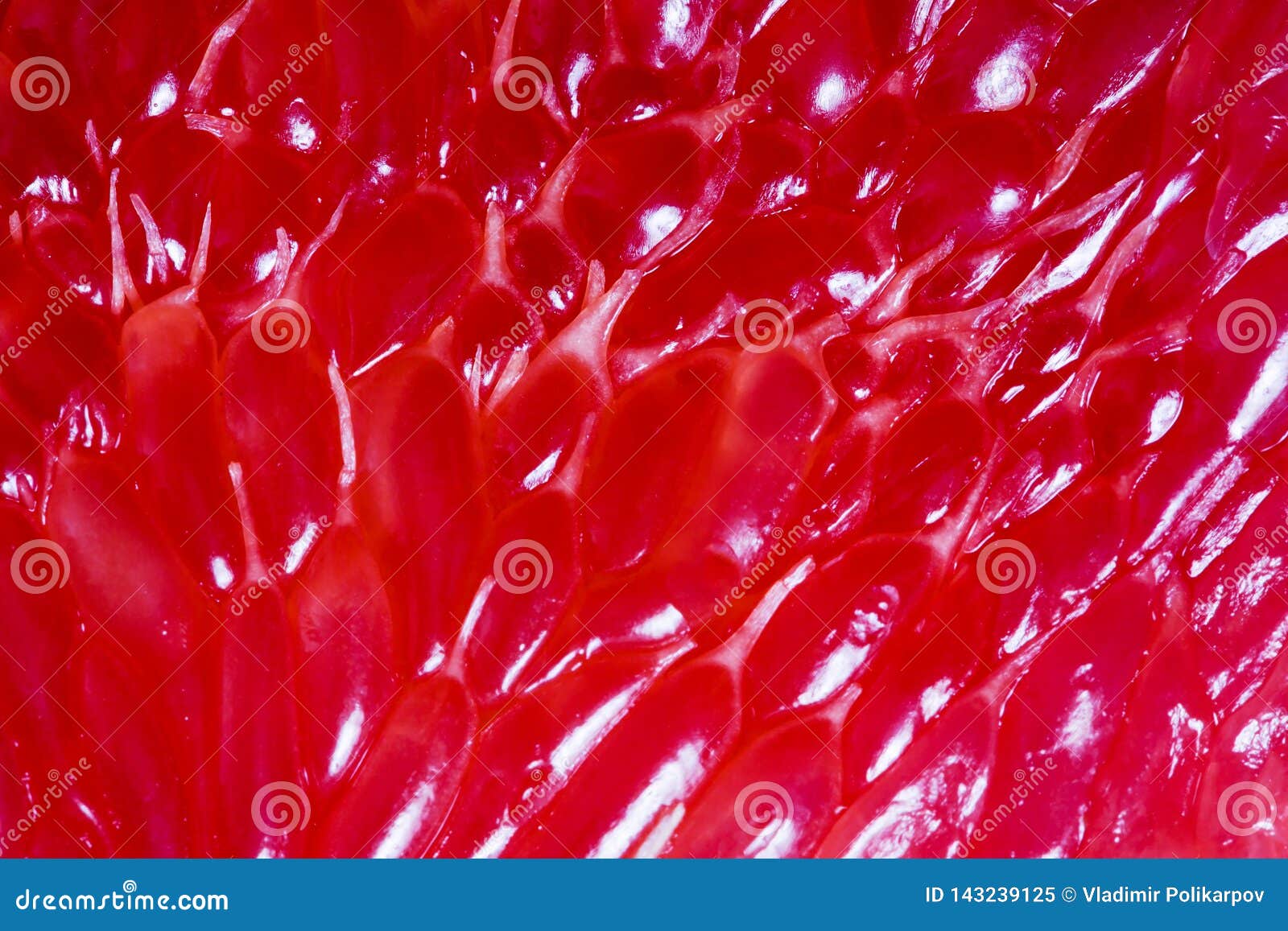 Red grapefruit close up stock image. Image of healthy - 143239125