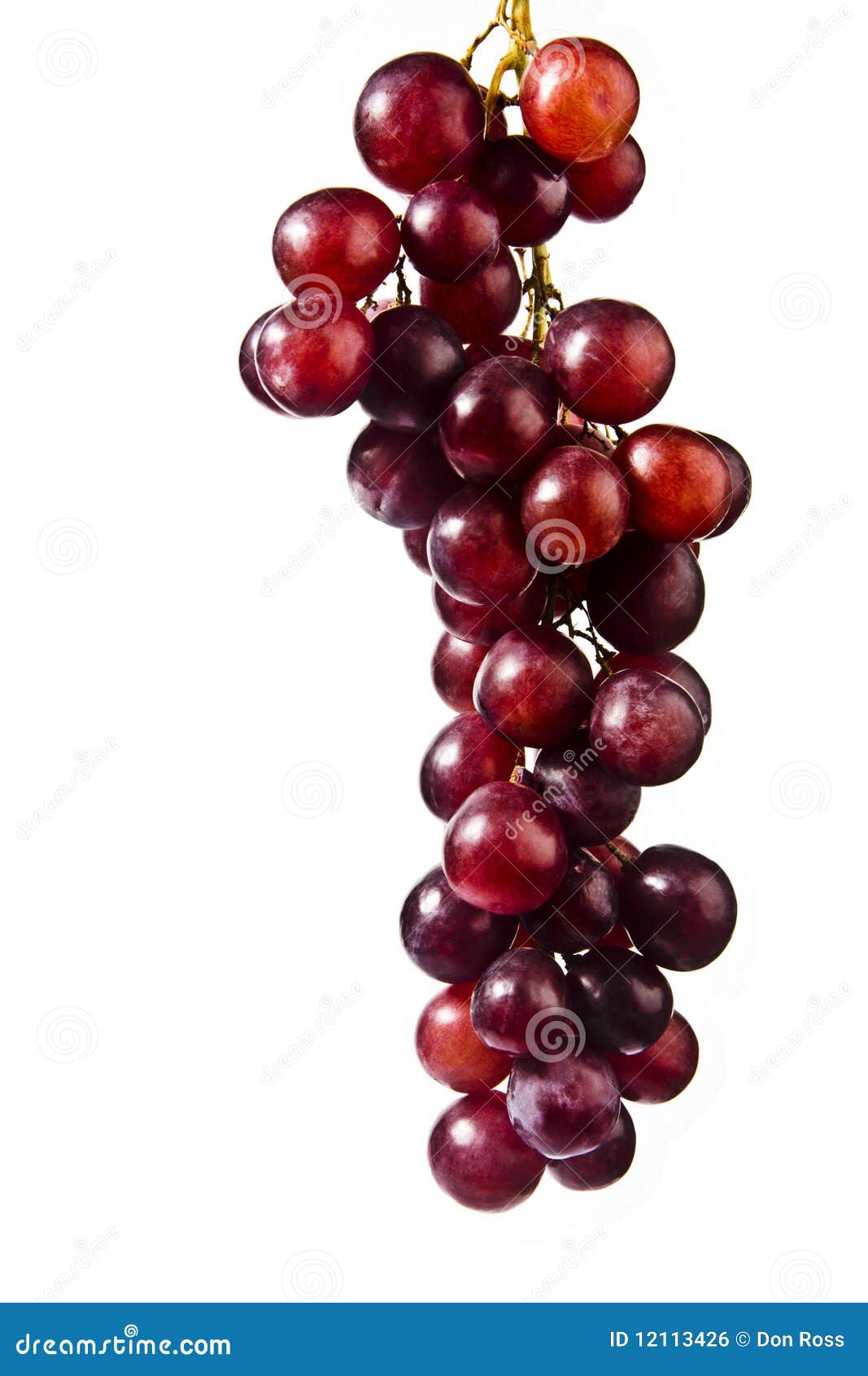 Red grapes stock photo. Image of organic, nature, drop - 12113426