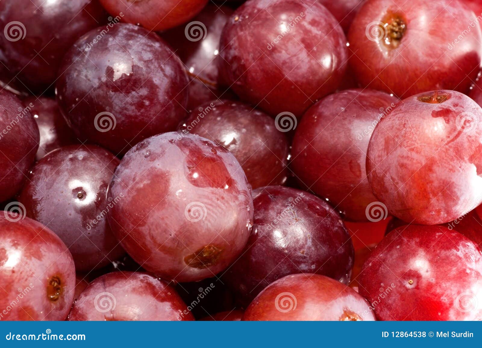 Red Grapes stock photo. Image of produce, cranberry, food - 12864538