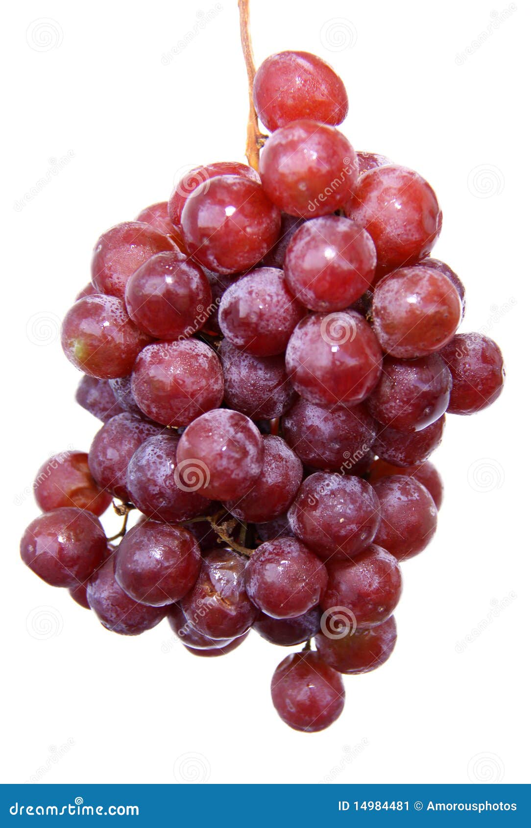 Red Grapes stock image. Image of grape, fruits, food - 14984481