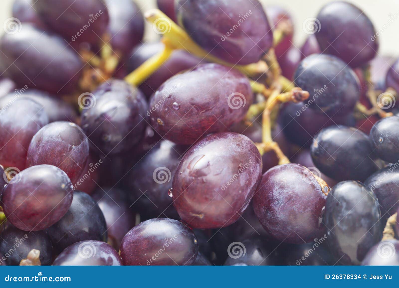 Red grapes stock photo. Image of group, color, ingredient - 26378334