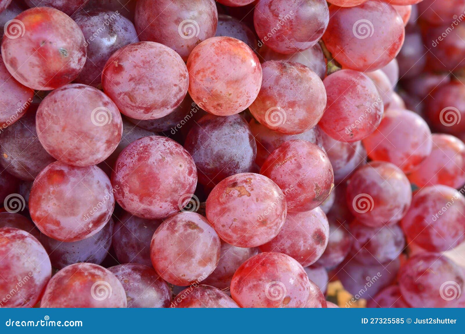 Red grapes stock image. Image of cluster, nature, healthy - 27325585