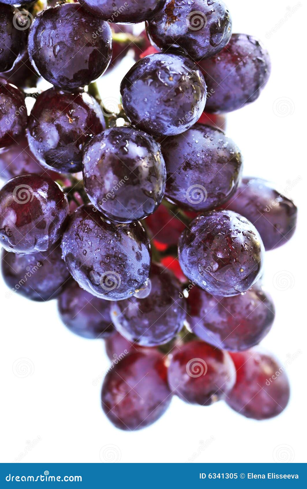 Red grapes stock image. Image of grapes, dewy, ripe, drops - 6341305
