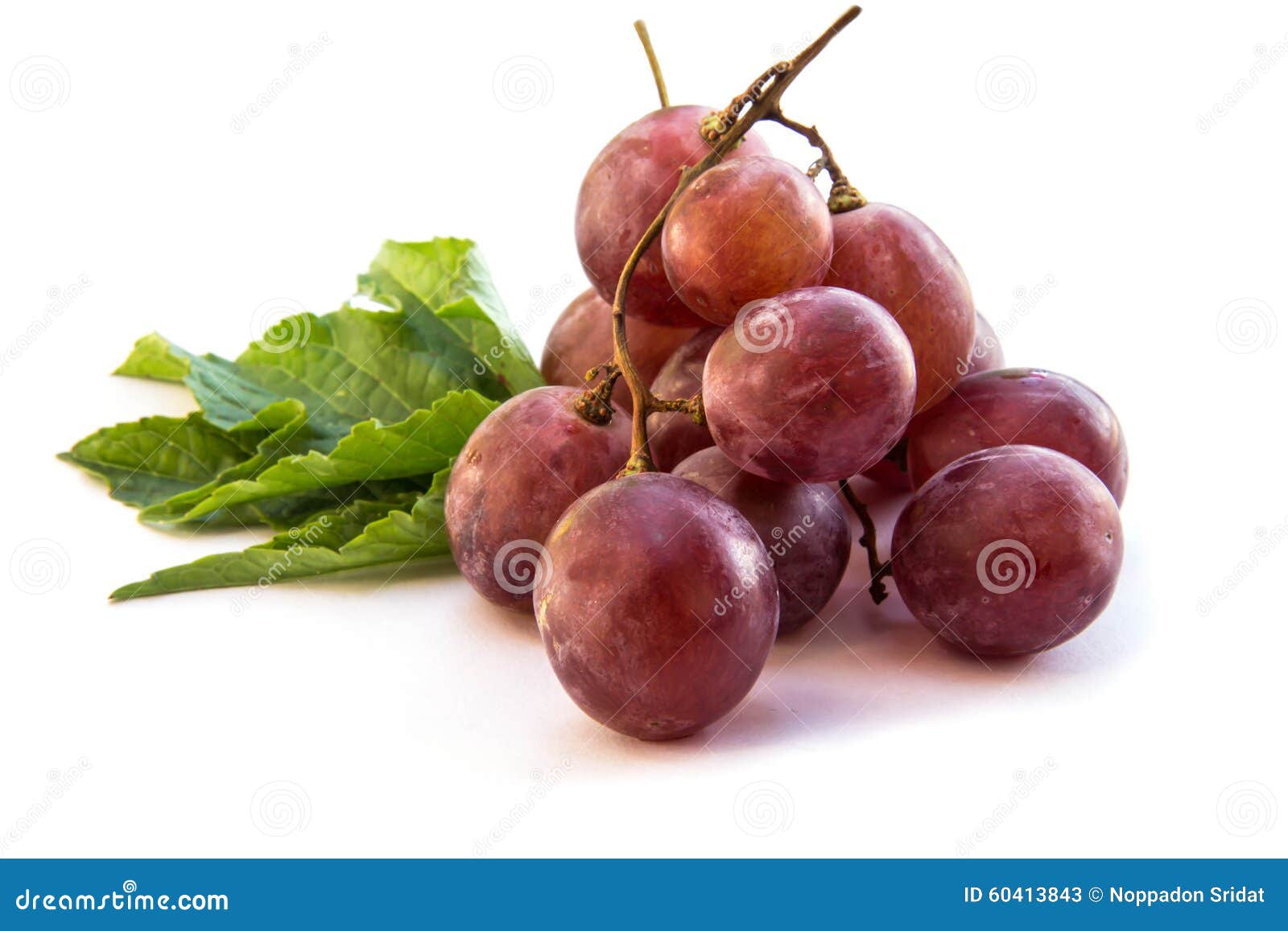 Red grapes berry stock image. Image of autumn, juicy - 60413843