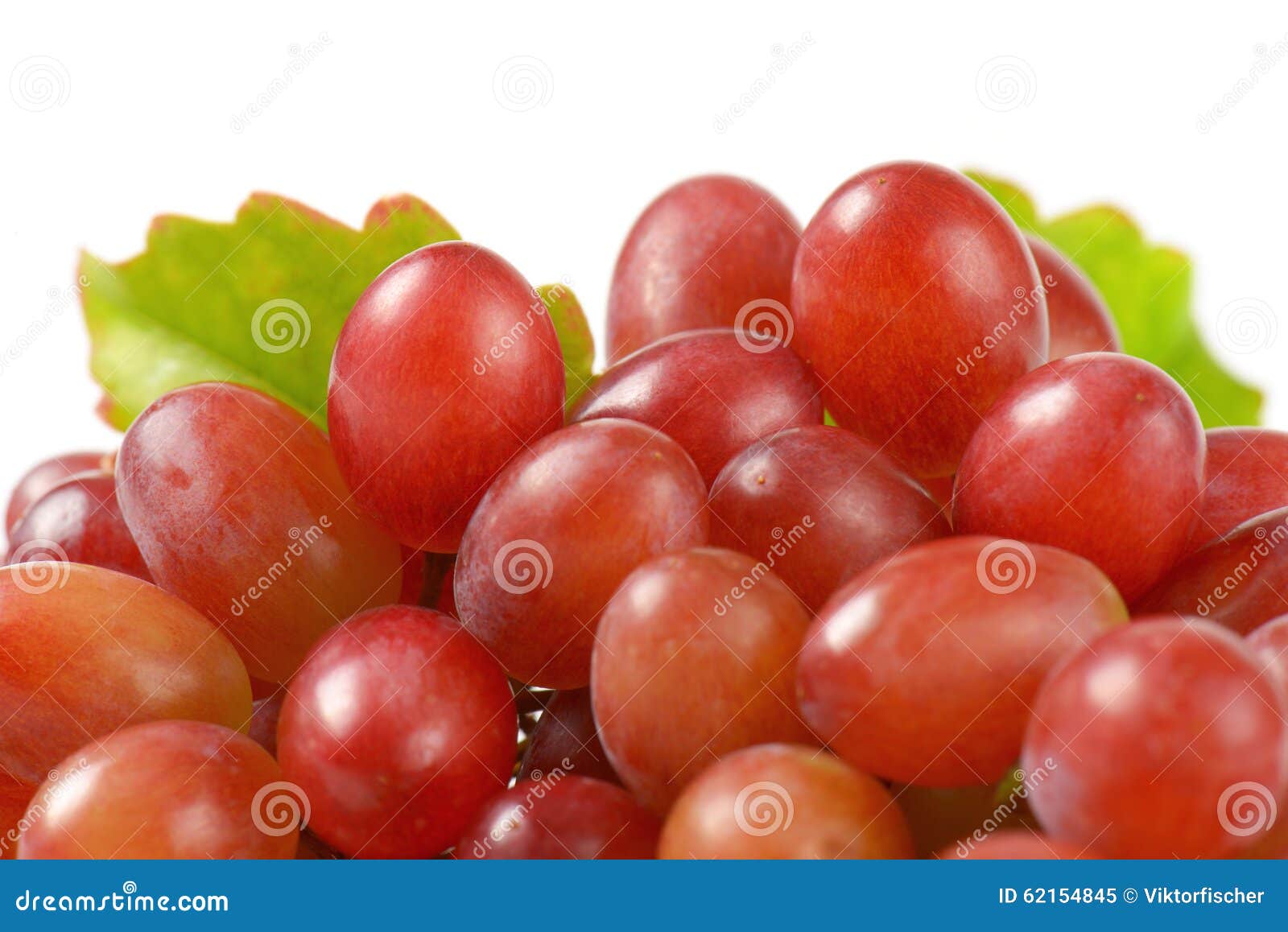 Red grapes stock image. Image of homegrown, studio, detail - 62154845