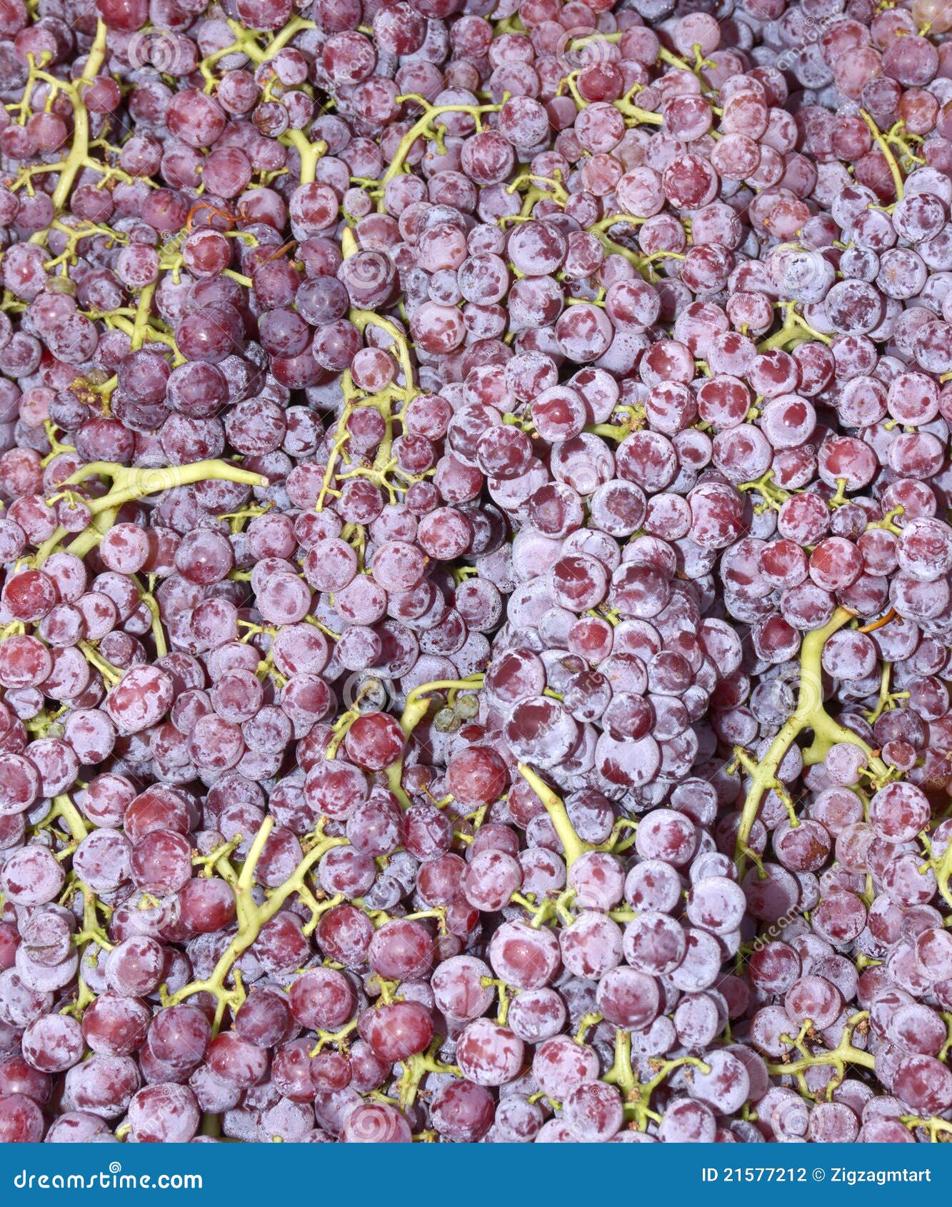 Red Grapes on Display at the Farmers Market Stock Photo - Image of ...