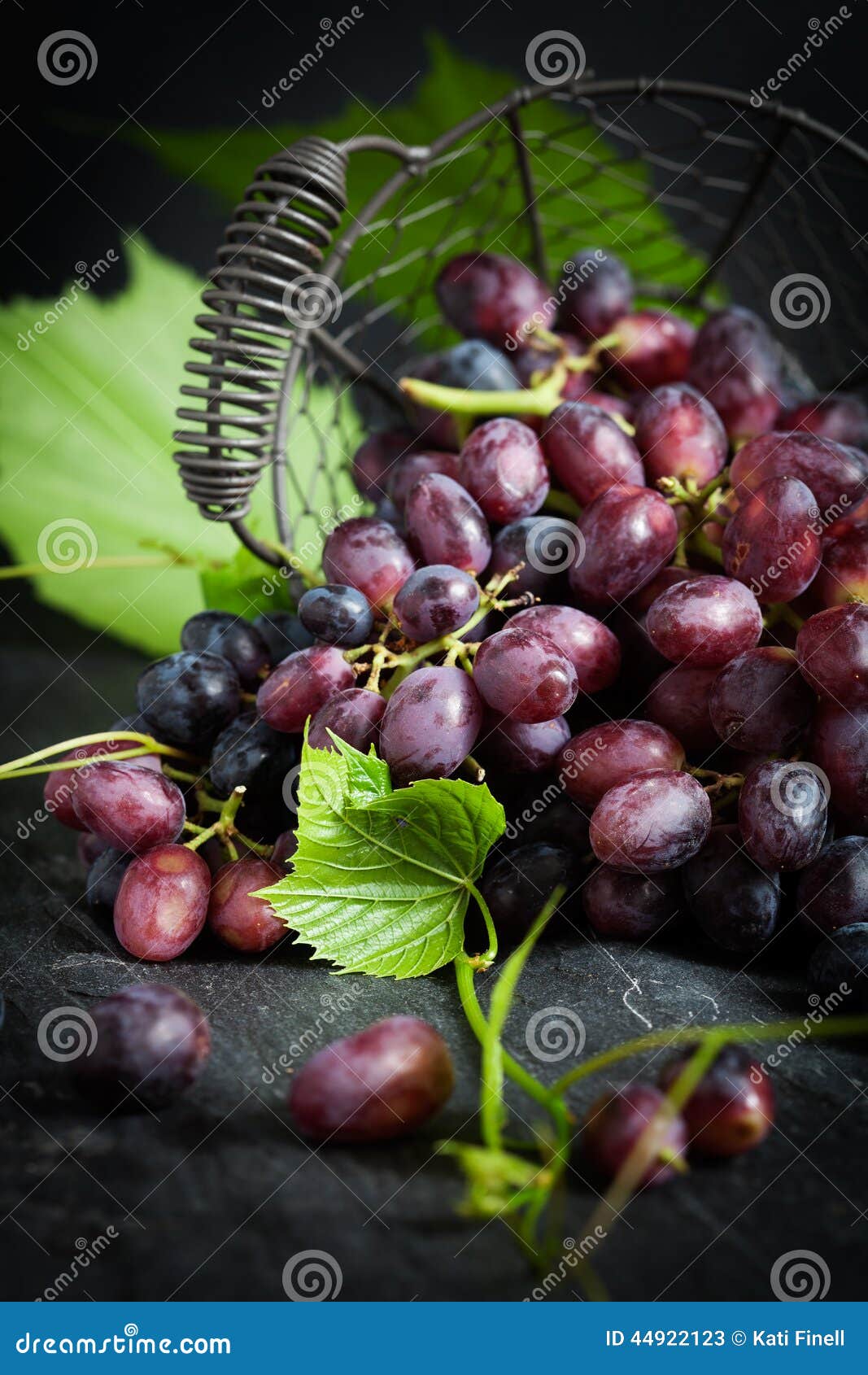 Red grapes stock image. Image of health, garden, harvest - 44922123